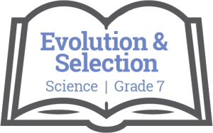 Unit Plan: Evolution and Natural Selection – Science – Grade 7 | NVSD44 ...